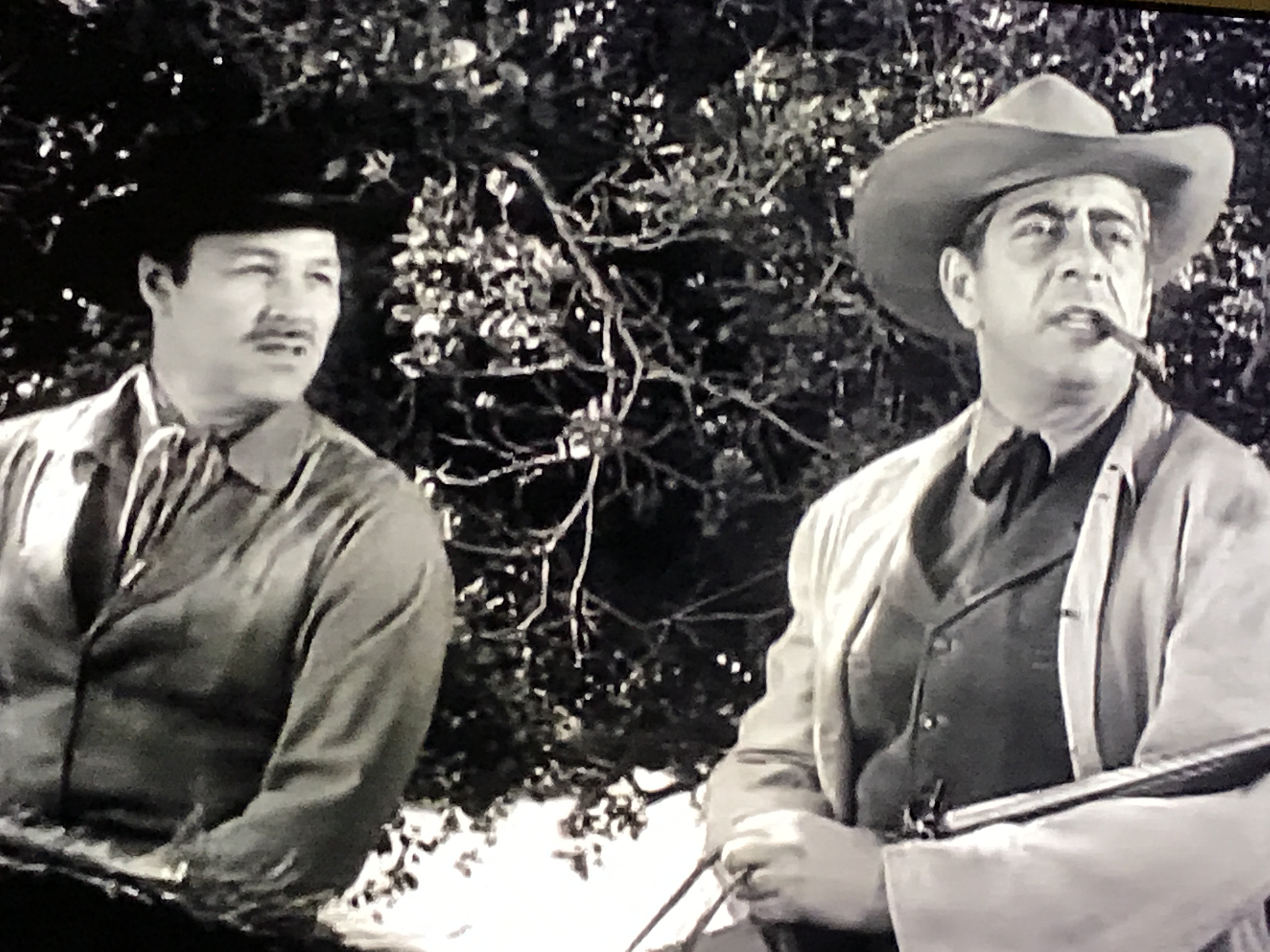 Chris Alcaide - actor - biography, photo, best movies and TV shows