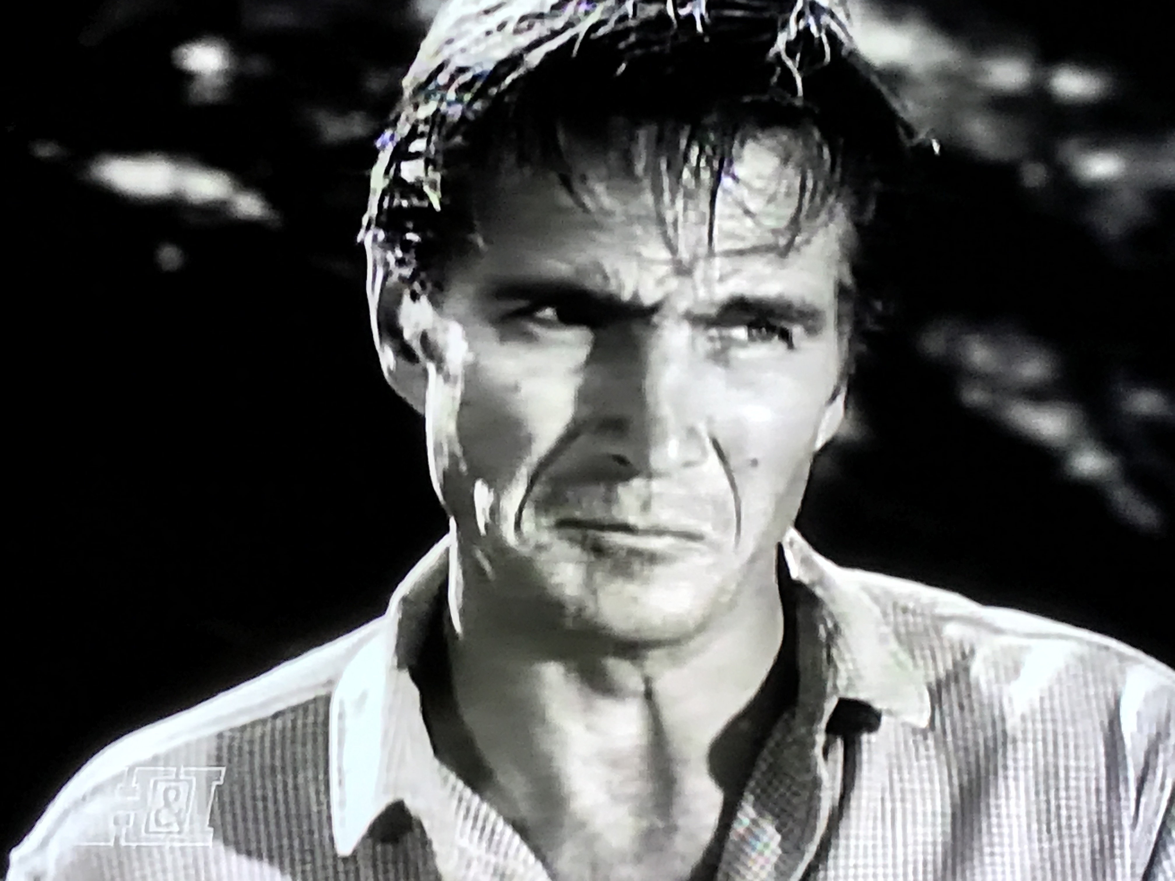 Eric Fleming - actor, writer - biography, photo, best movies and TV shows