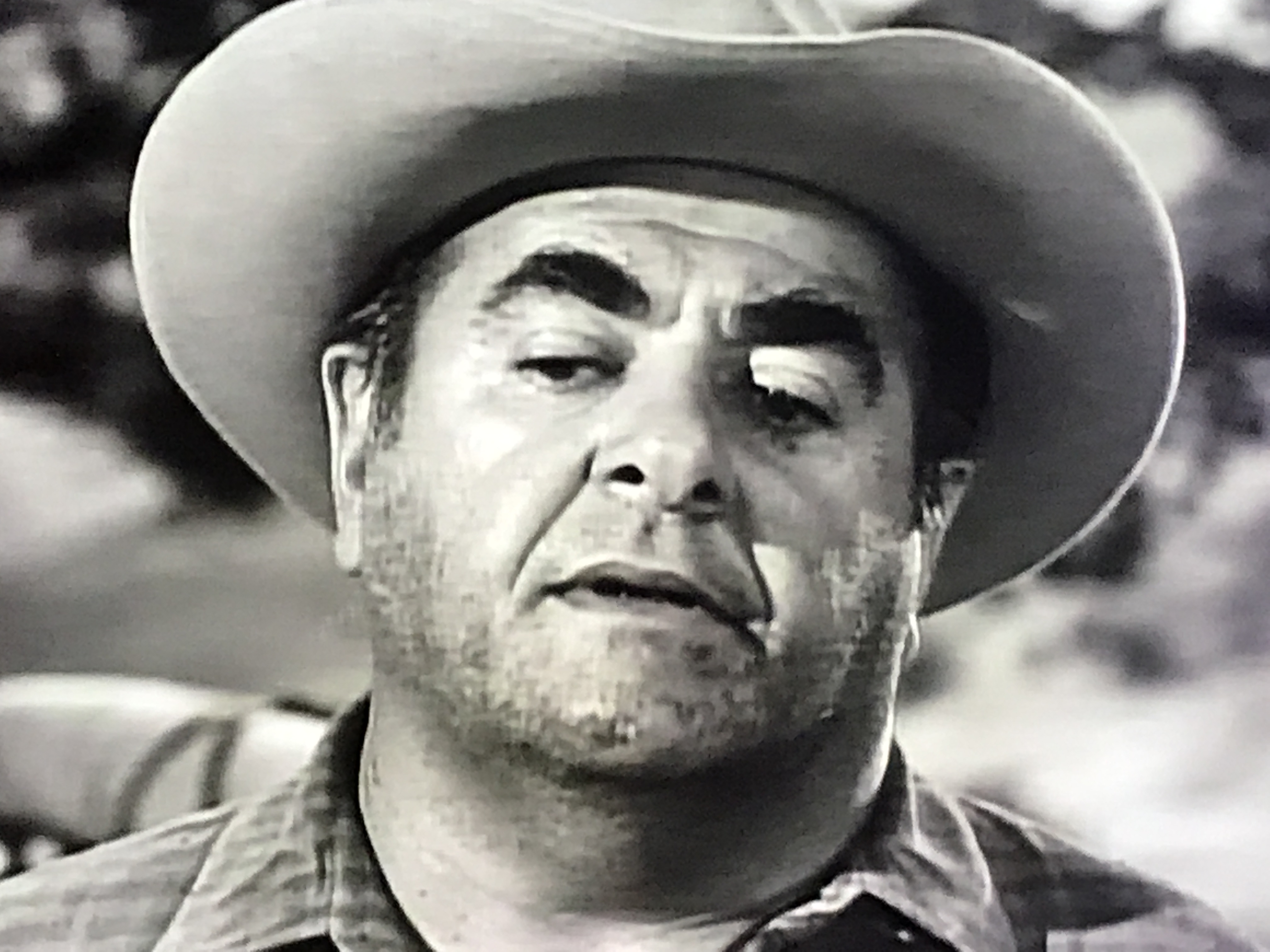 Robert Middleton - actor - biography, photo, best movies and TV shows