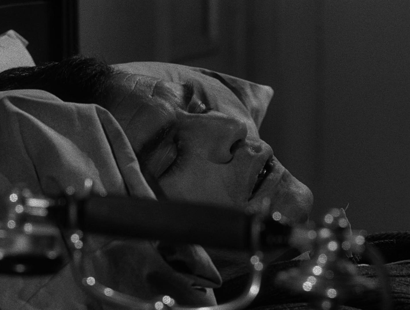 Martin Landau - actor, producer