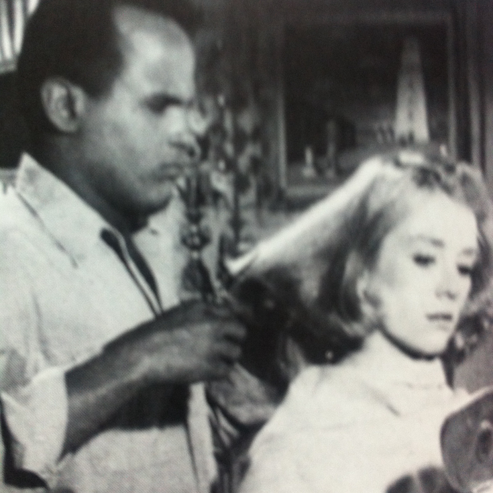 Inger Stevens - actress - biography, photo, best movies and TV shows