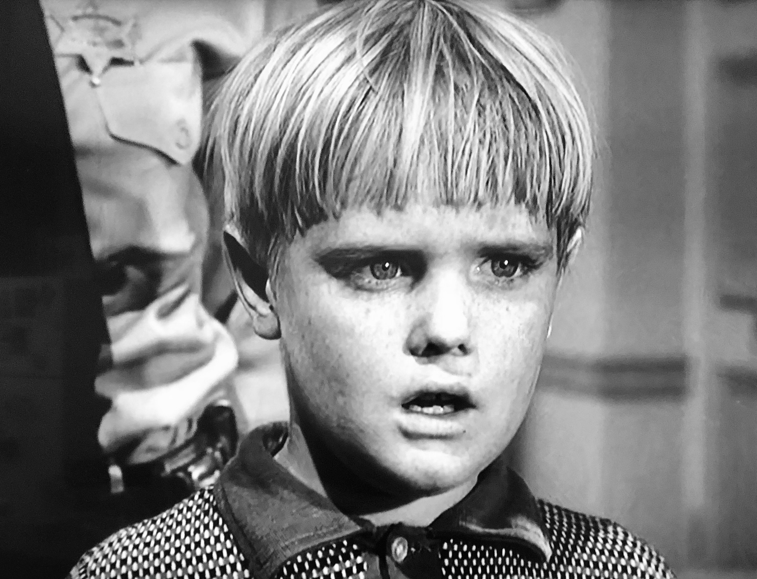 Joey Scott - actor, producer - biography, photo, best movies and TV shows