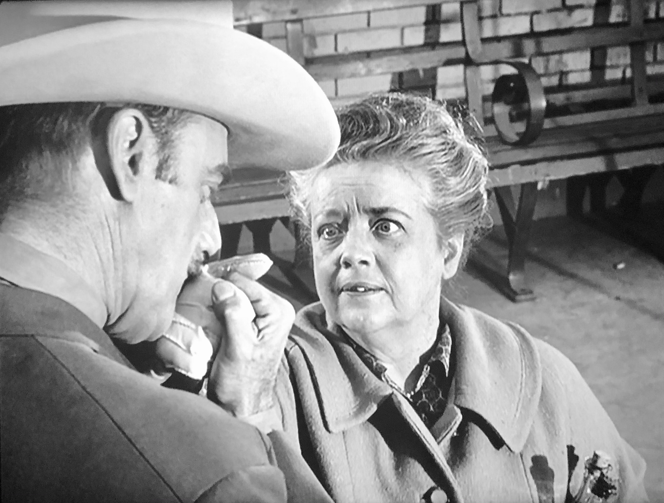 John Dehner - actor - biography, photo, best movies and TV shows