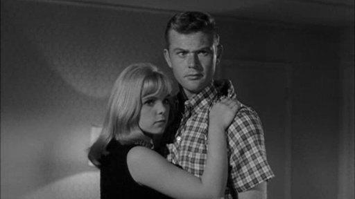 Jenny Maxwell - actress - biography, photo, best movies and TV shows