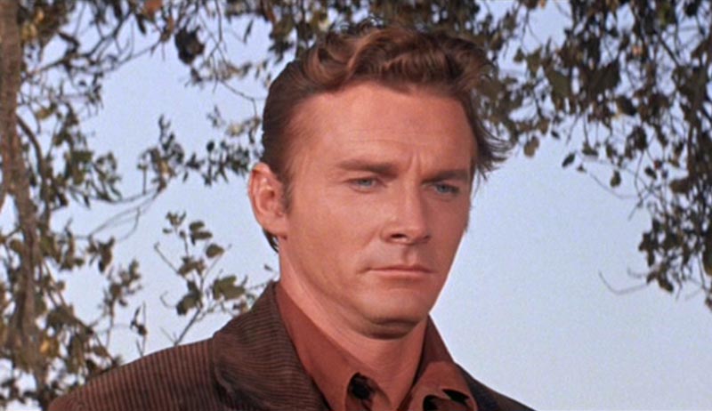 Steve Forrest - actor - biography, photo, best movies and TV shows