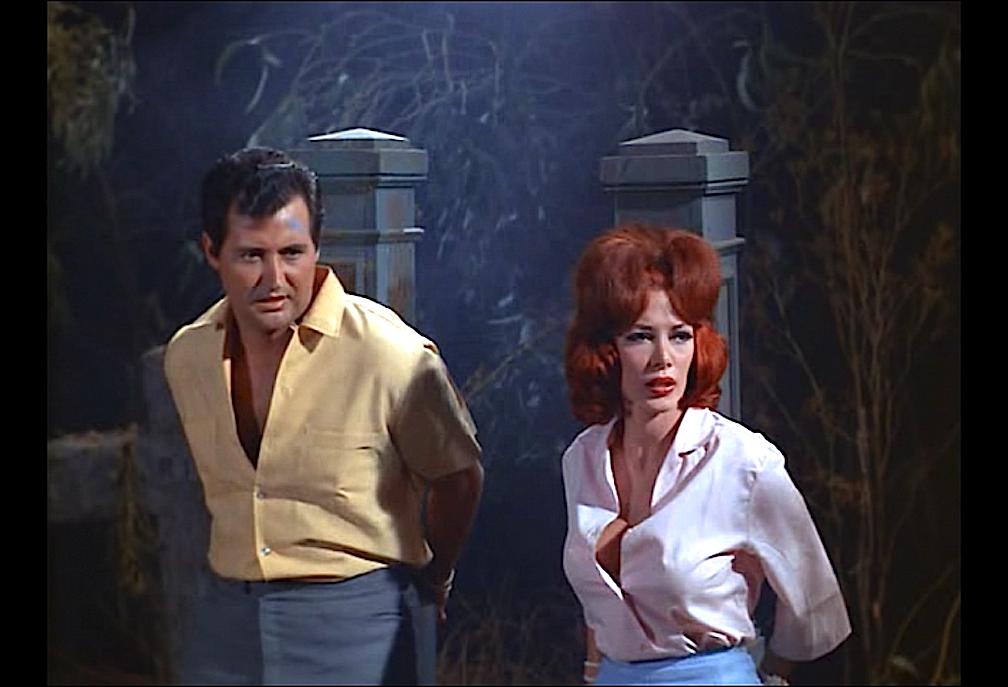 Pat Barrington - actress - biography, photo, best movies and TV shows