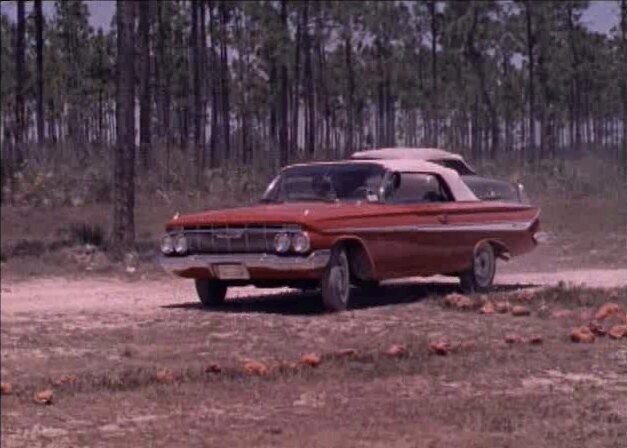 Diary of a Nudist (movie, 1961)