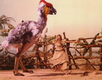 Beth Rogan - actress - biography, photo, best movies and TV shows