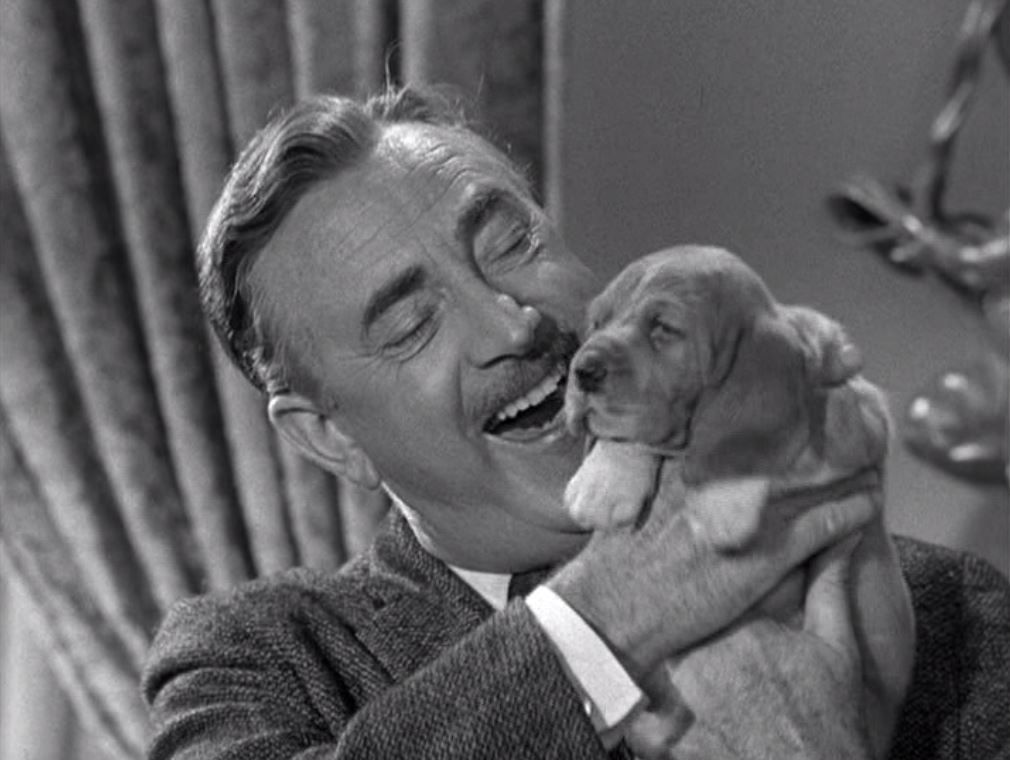 Raymond Bailey - actor - biography, photo, best movies and TV shows