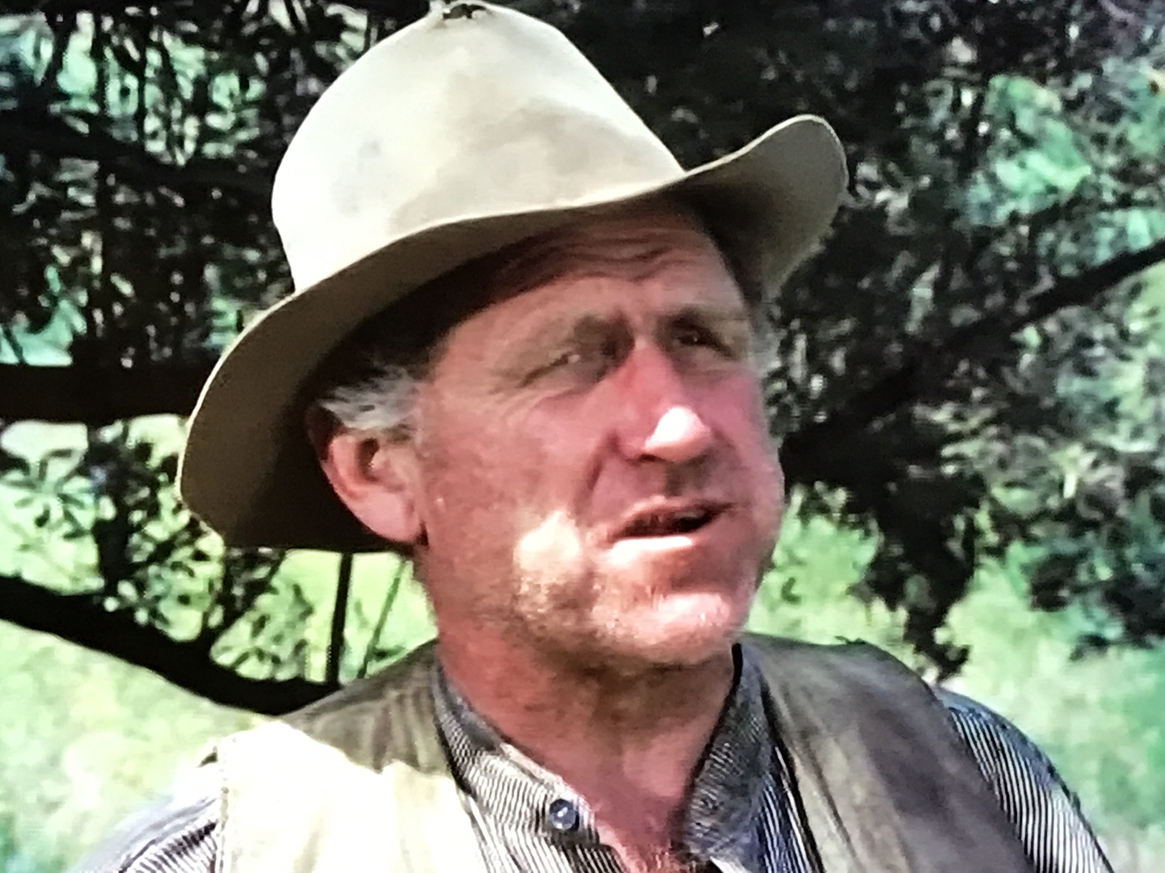 James Whitmore - actor - biography, photo, best movies and TV shows