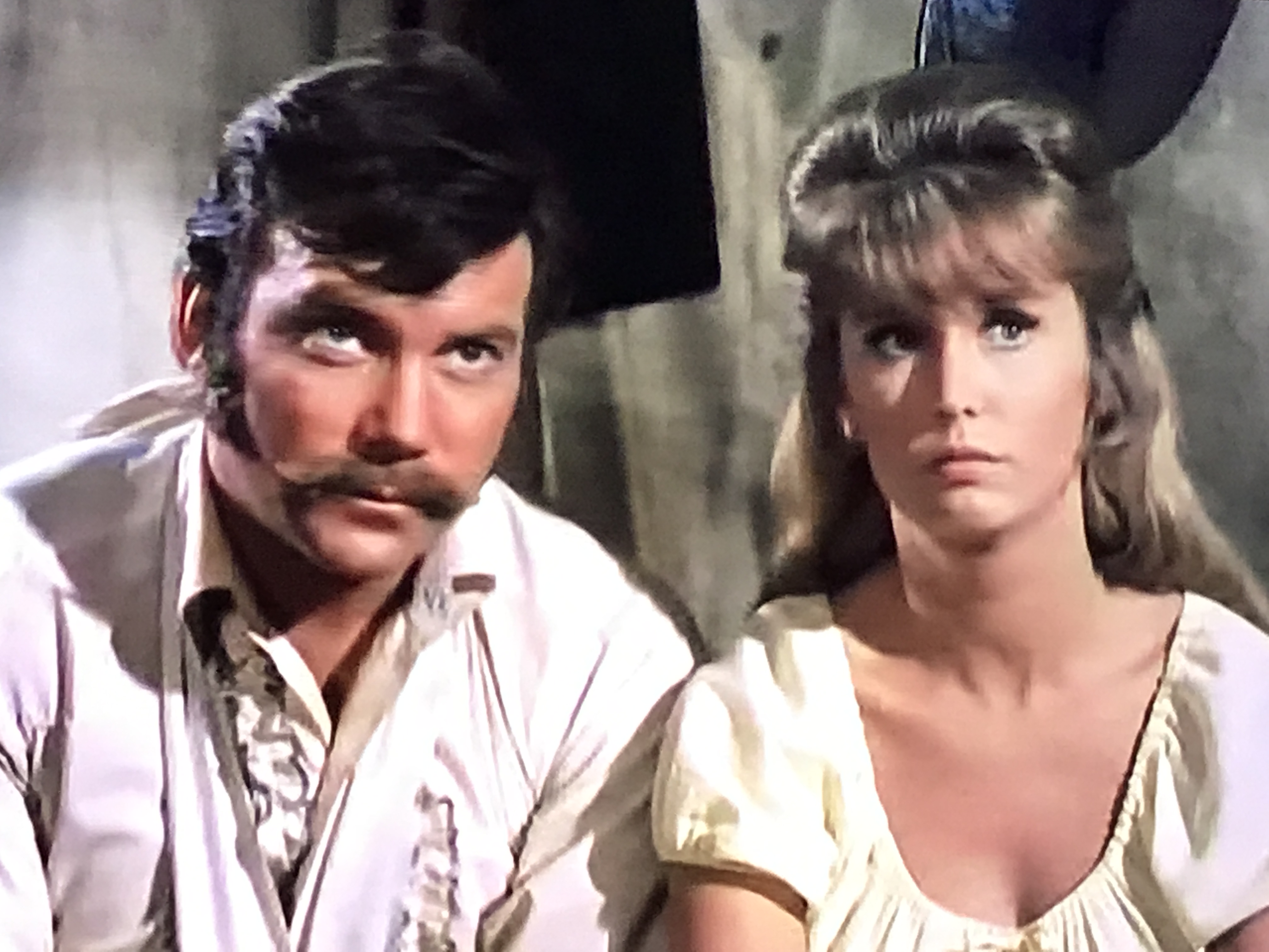 Jill Townsend - actress - biography, photo, best movies and TV shows