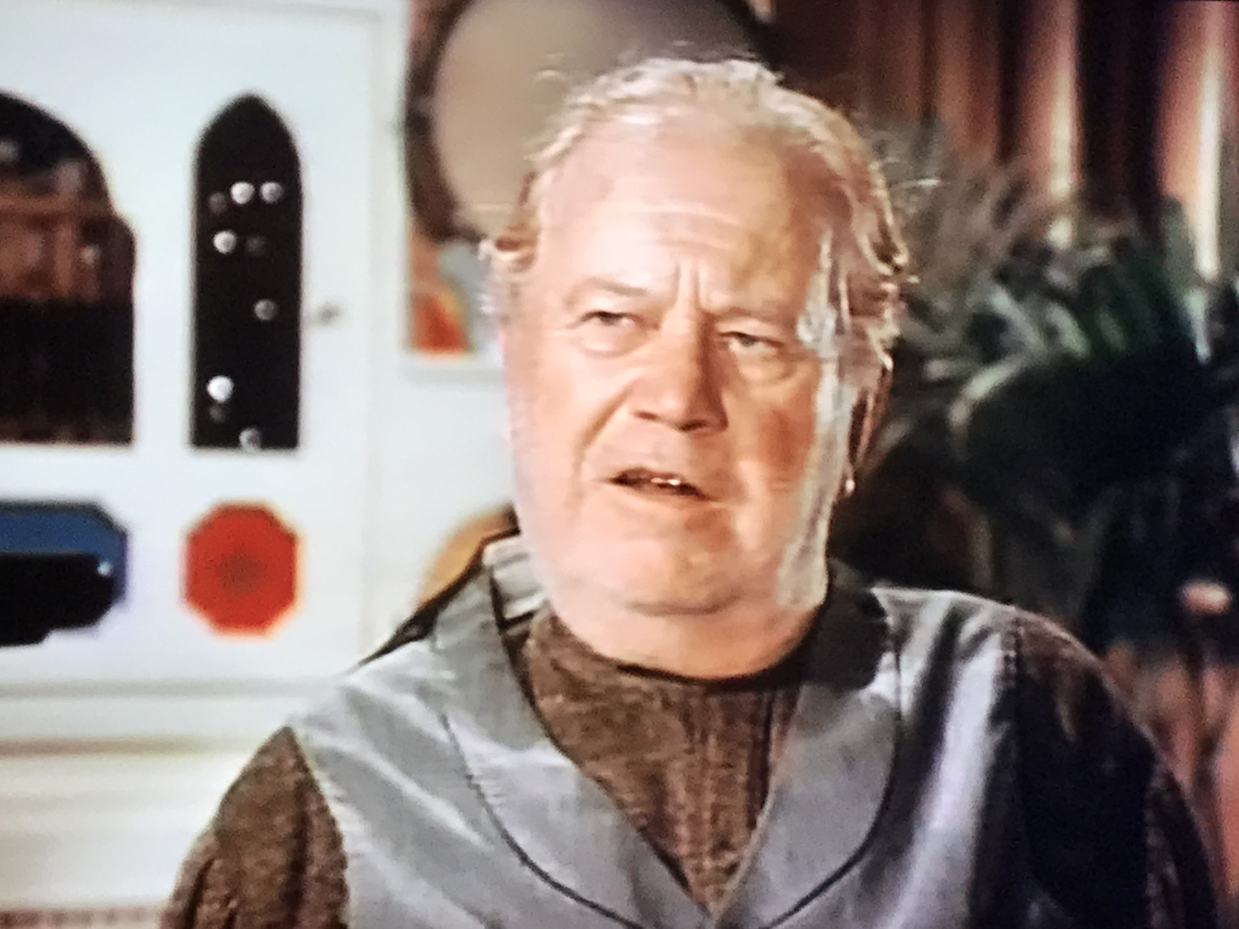 Edgar Buchanan - actor - biography, photo, best movies and TV shows