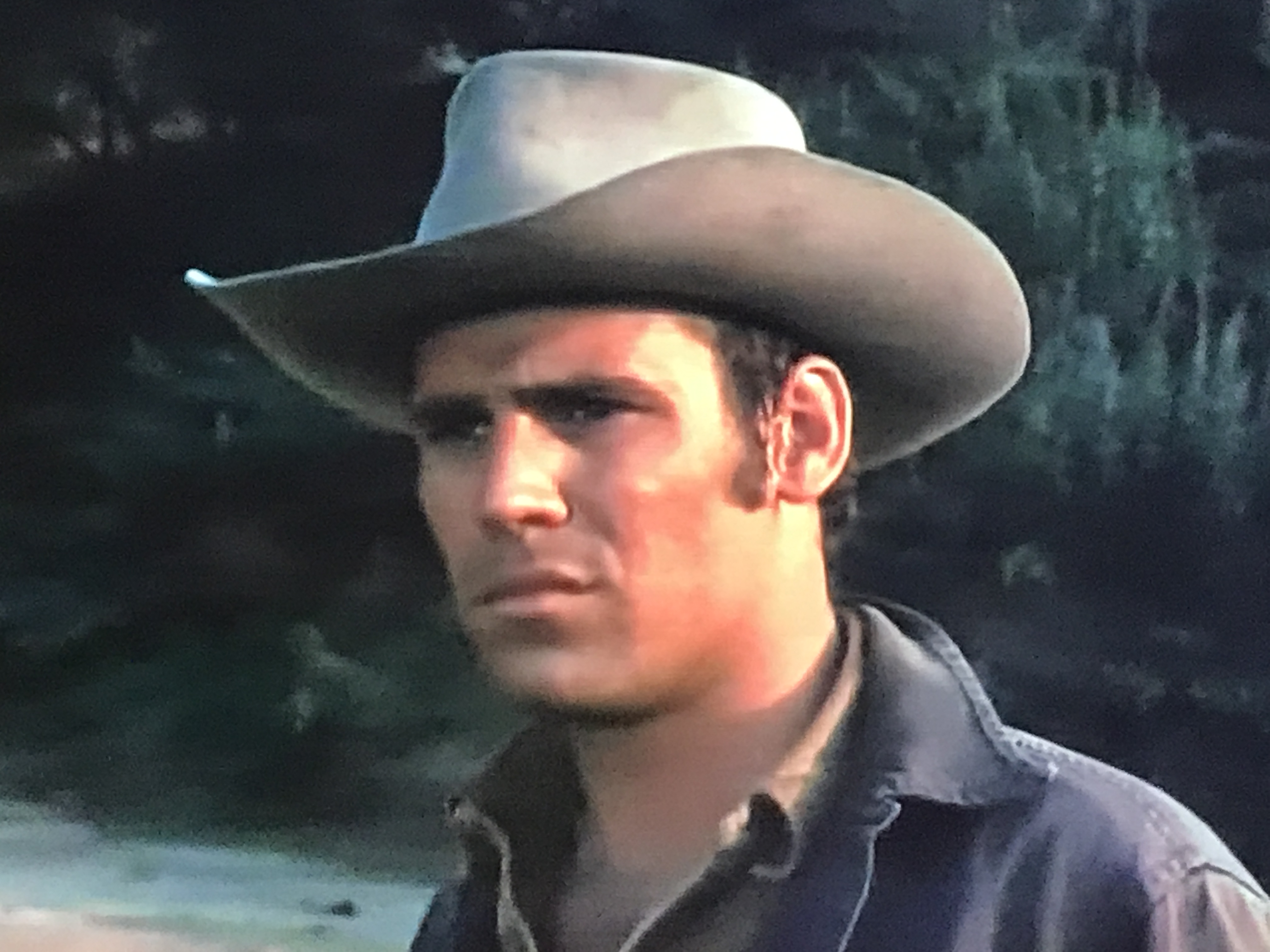 Don Stroud - actor, producer - biography, photo, best movies and TV shows