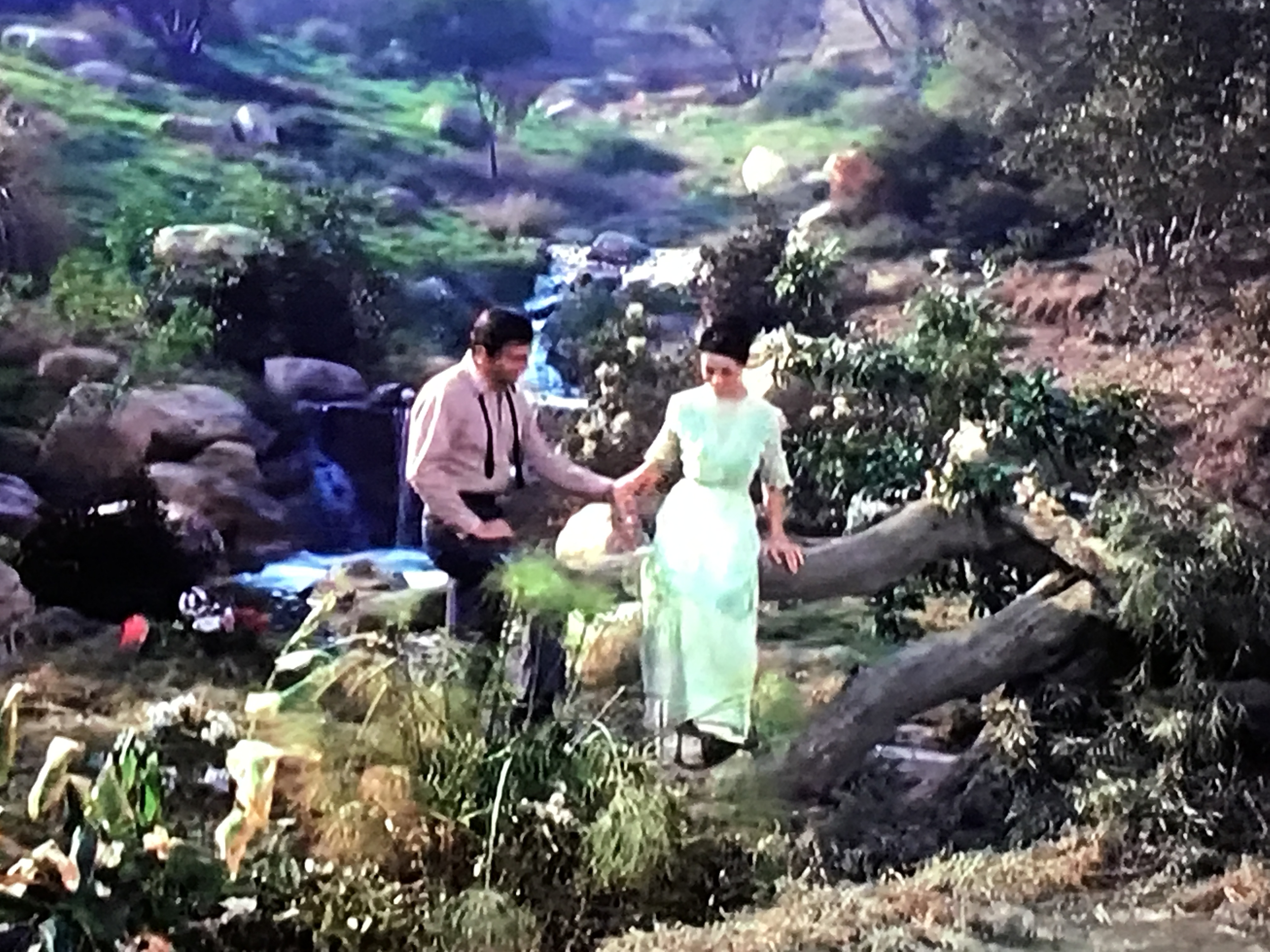 Dana Wynter - actress, writer - biography, photo, best movies and TV shows