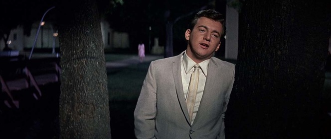 Screenshots - State Fair