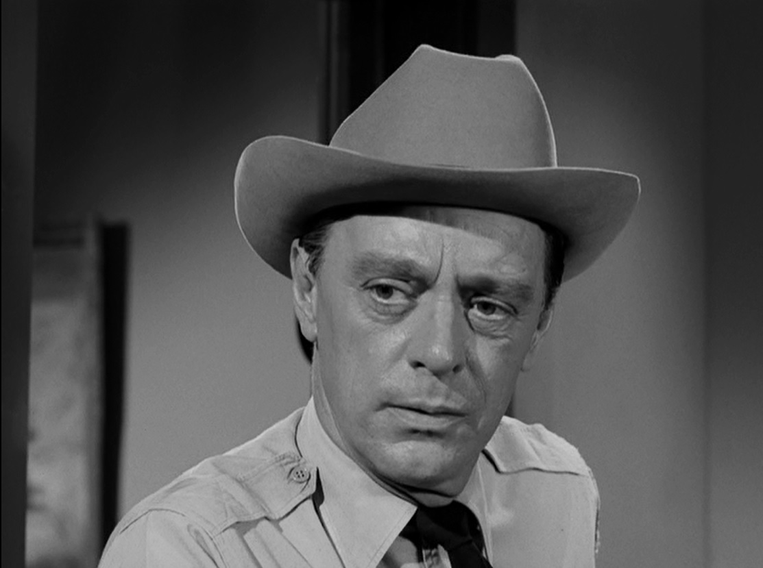 Harry Townes - actor - biography, photo, best movies and TV shows