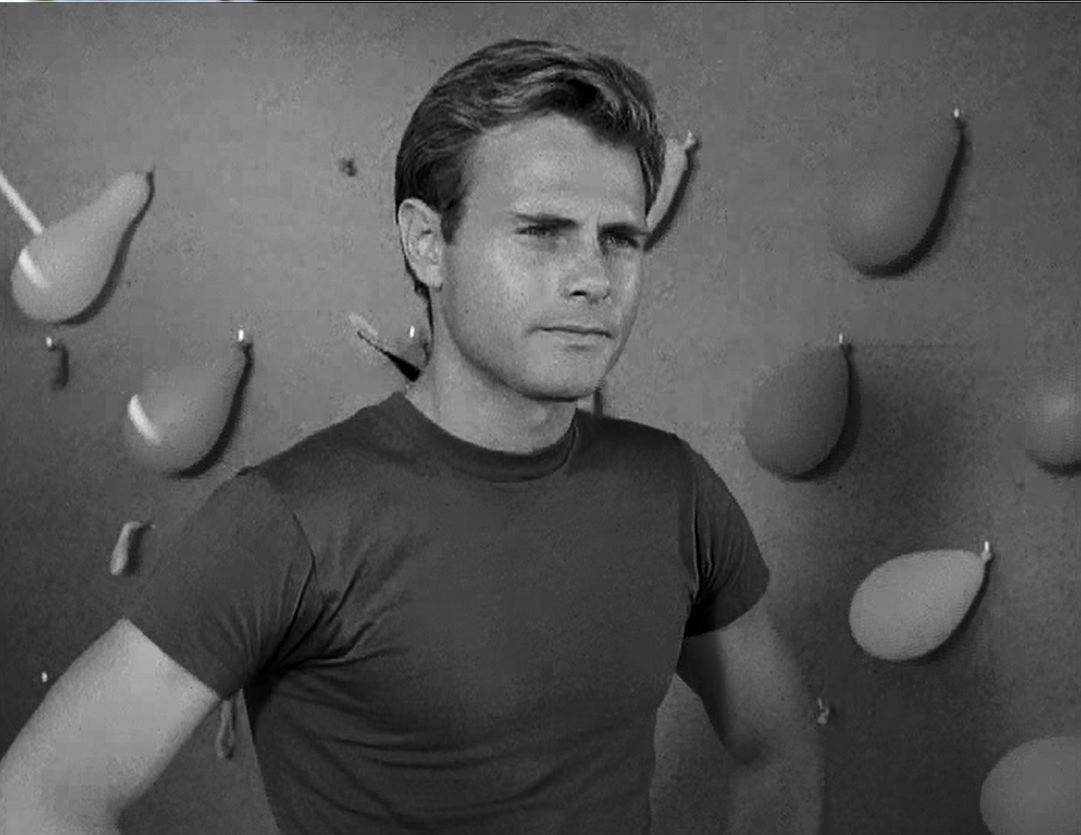 Don Quine - actor - biography, photo, best movies and TV shows