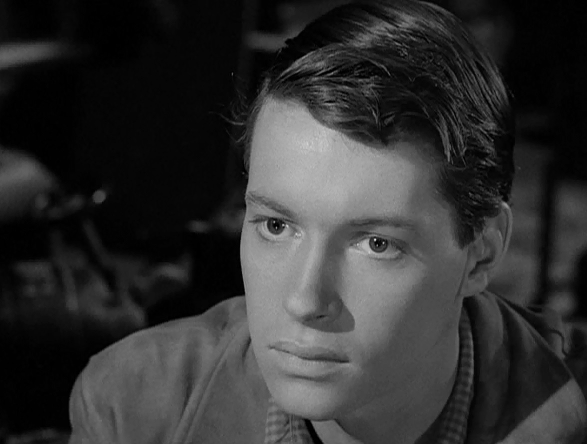 David Macklin - actor - biography, photo, best movies and TV shows