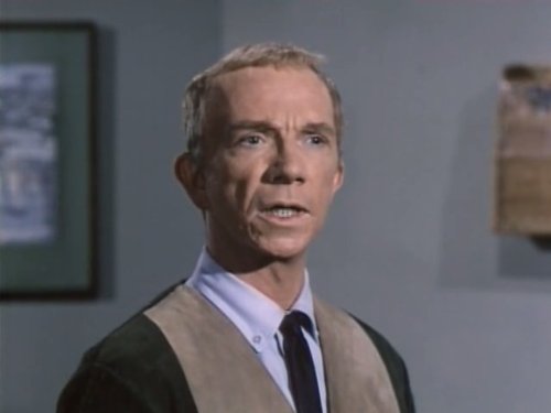 Ray Walston - actor - biography, photo, best movies and TV shows