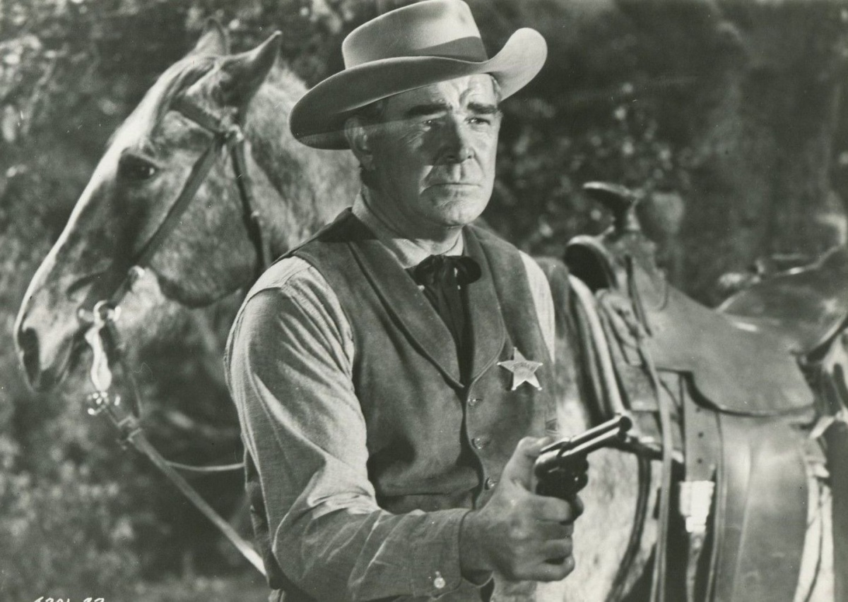 The Gun Hawk (movie, 1963)