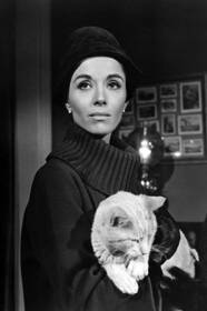 Dana Wynter - actress, writer - biography, photo, best movies and TV shows