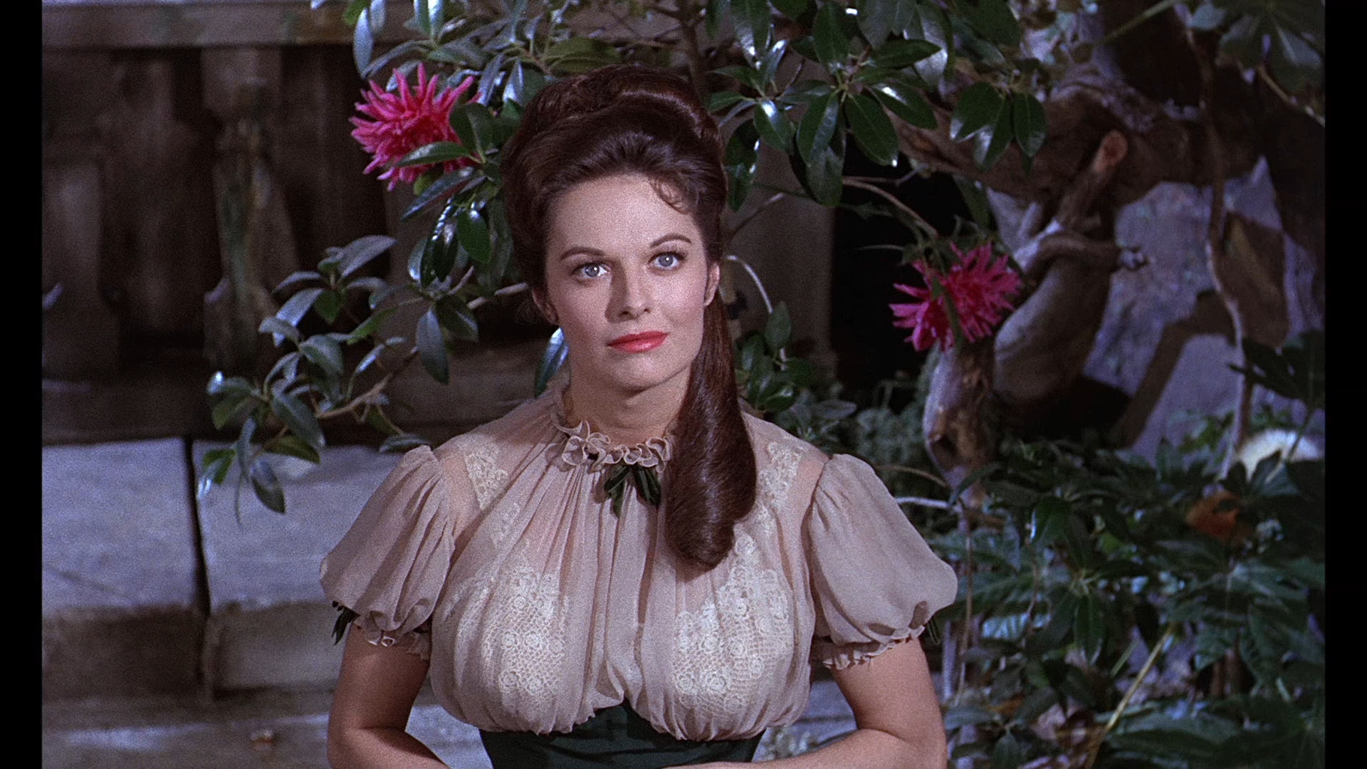 Joyce Taylor - actress - biography, photo, best movies and TV shows