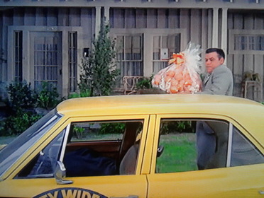 Frank Sutton - actor - biography, photo, best movies and TV shows