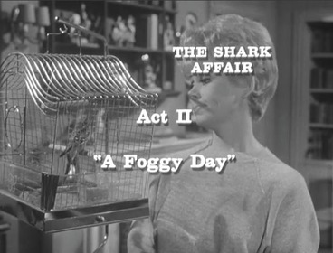 Sue Ane Langdon - actress - biography, photo, best movies and TV shows