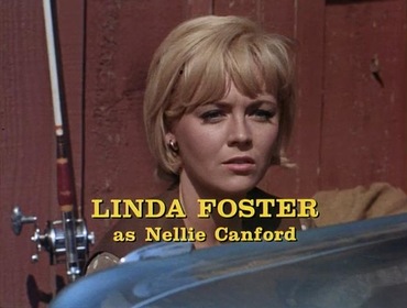 Linda Foster - actress - biography, photo, best movies and TV shows