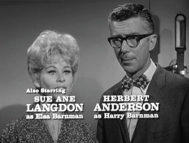 Sue Ane Langdon - actress - biography, photo, best movies and TV shows