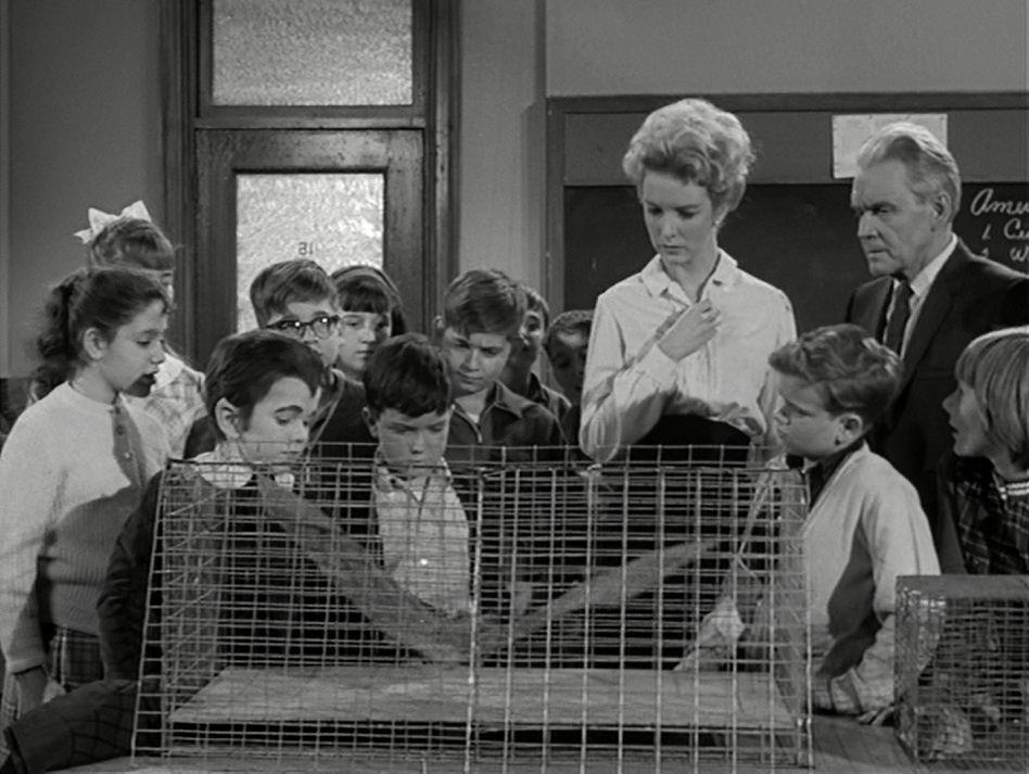 Barbara Babcock - actress - biography, photo, best movies and TV shows