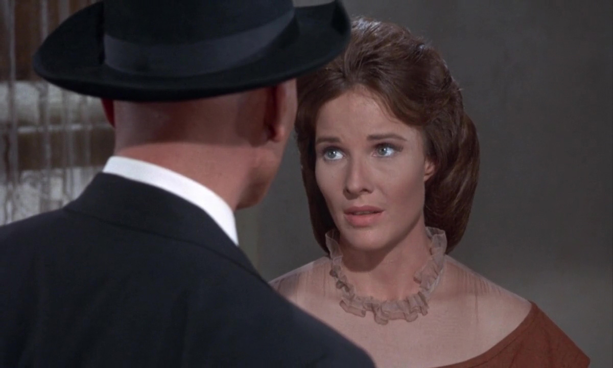 Janice Rule - actress - biography, photo, best movies and TV shows