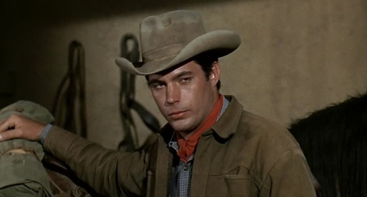 Tony Young - actor - biography, photo, best movies and TV shows