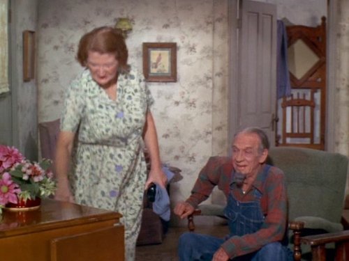 Hank Patterson - actor - biography, photo, best movies and TV shows