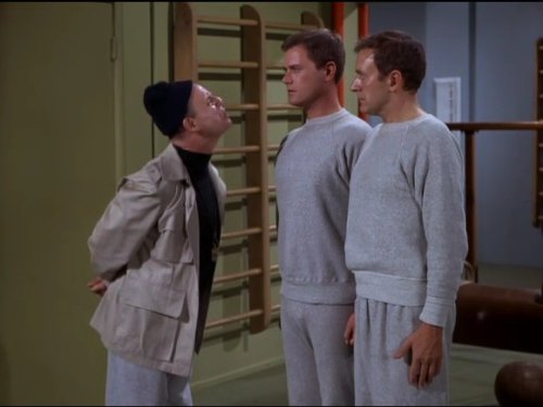 Bill Daily - actor, writer - biography, photo, best movies and TV shows