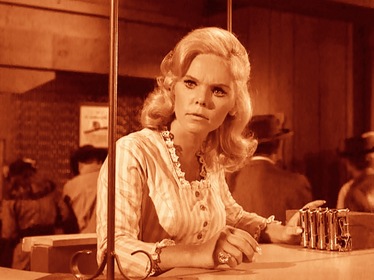 Jenny Maxwell - actress - biography, photo, best movies and TV shows