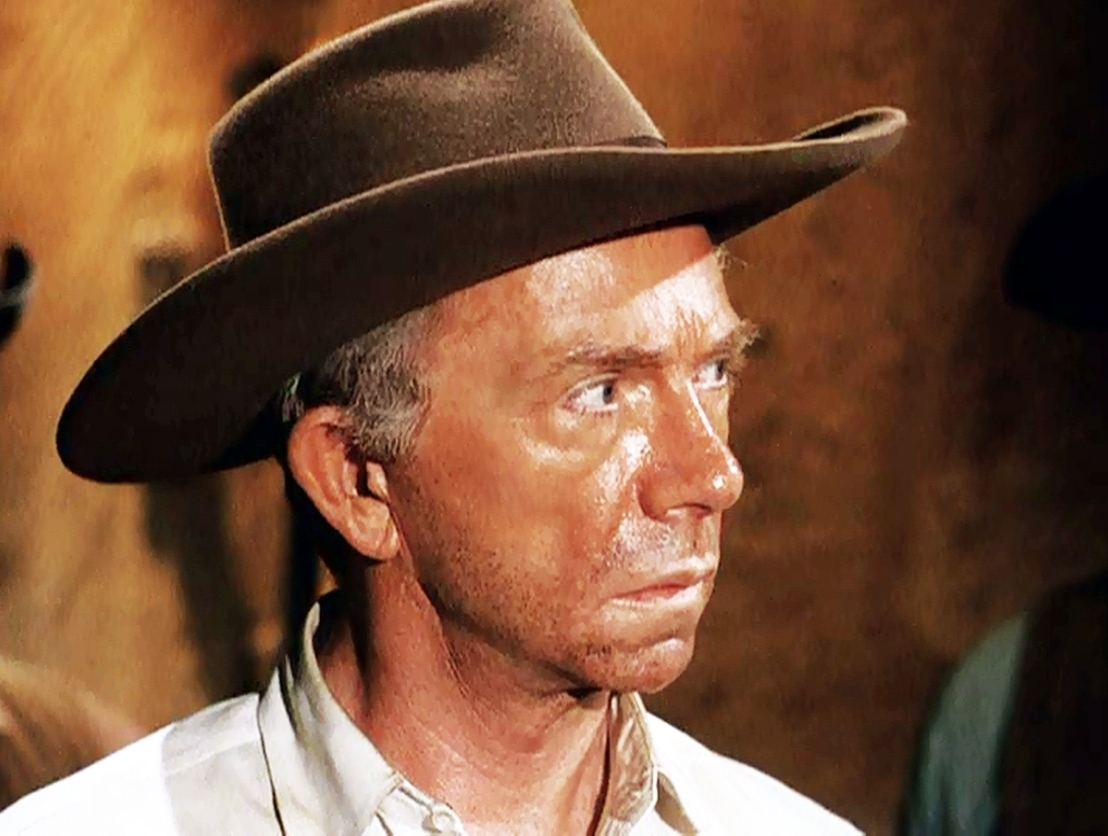 Ray Walston - actor - biography, photo, best movies and TV shows