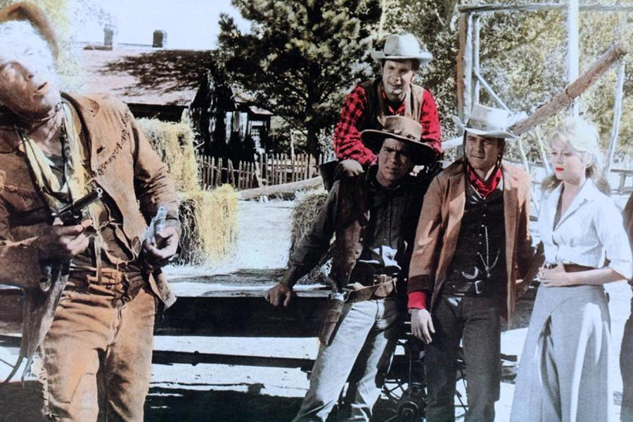 Tom Nardini - actor - biography, photo, best movies and TV shows