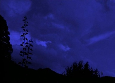 Ninja She-Devil (movie, 2006)