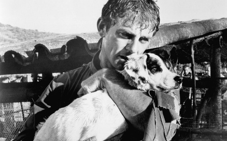 King Rat (movie, 1965)