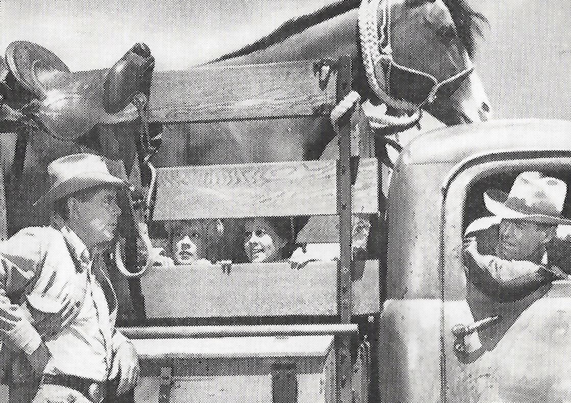 Sue Ane Langdon - actress - biography, photo, best movies and TV shows