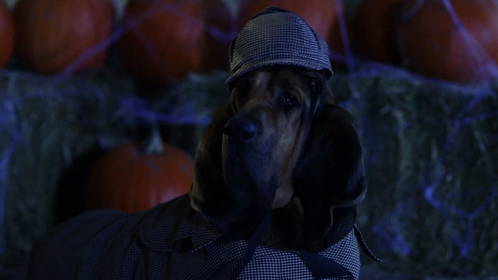 Screenshots - Spooky Buddies