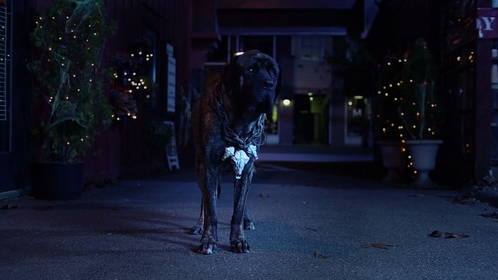 Screenshots - Spooky Buddies