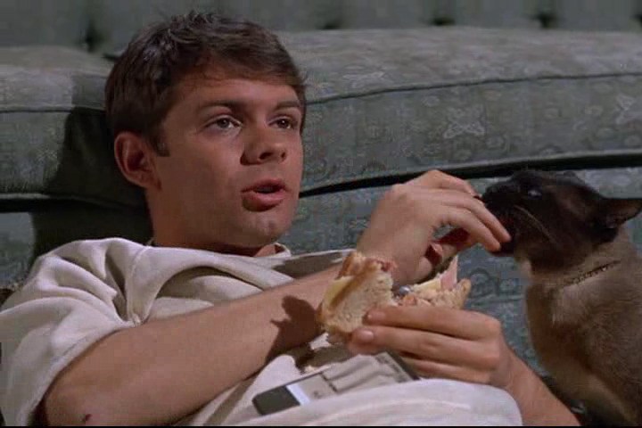 Tom Lowell - actor - biography, photo, best movies and TV shows