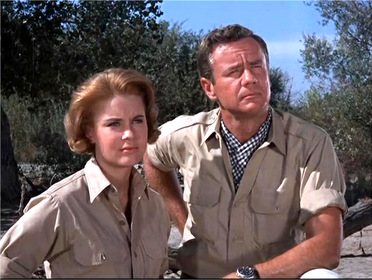 Cheryl Miller - actress - biography, photo, best movies and TV shows