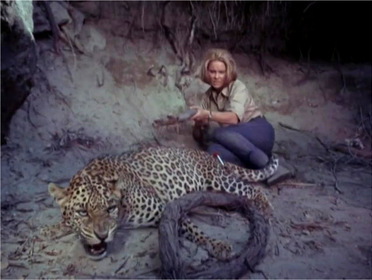 Cheryl Miller - actress - biography, photo, best movies and TV shows