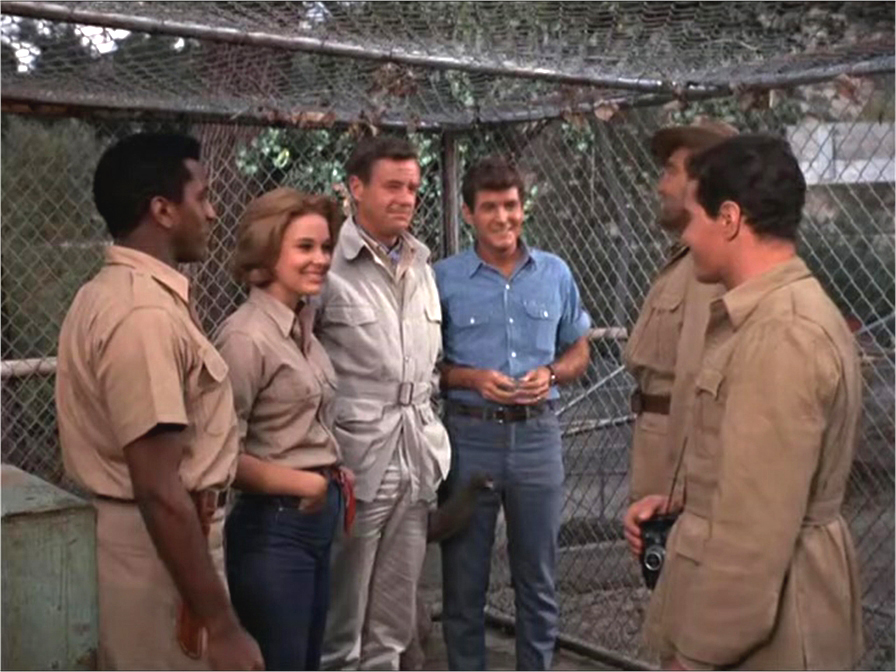 Dan Ferrone - actor - biography, photo, best movies and TV shows