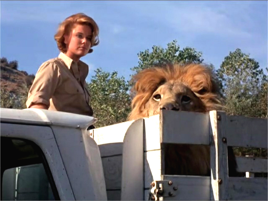 Cheryl Miller - actress - biography, photo, best movies and TV shows