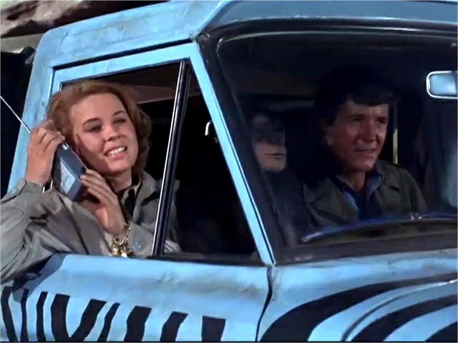 Cheryl Miller - actress - biography, photo, best movies and TV shows