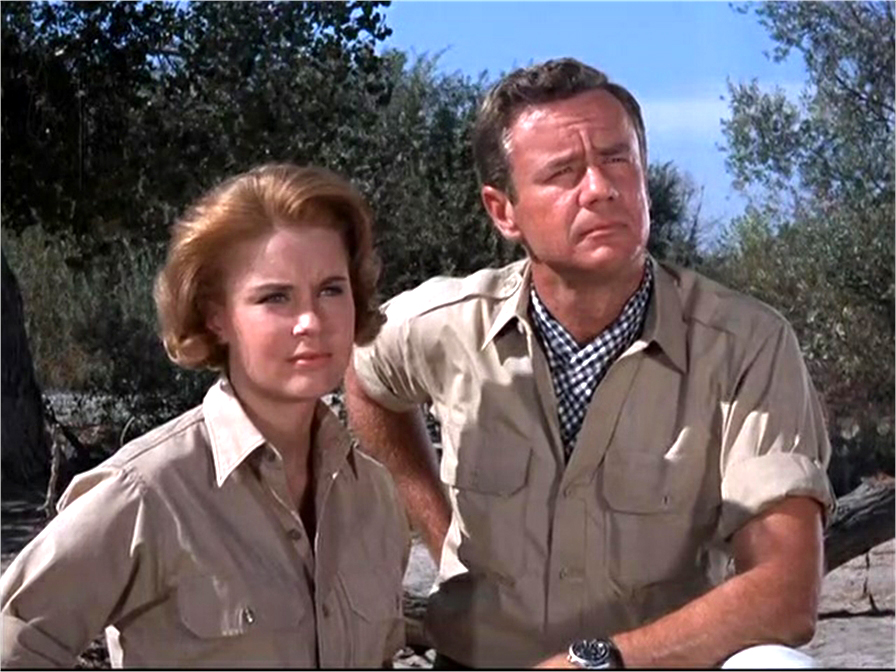 Cheryl Miller - actress - biography, photo, best movies and TV shows